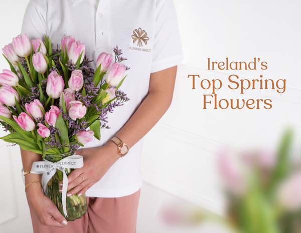 What Are the Most Popular Spring Flowers in Ireland? - FlowersDirect.ie
