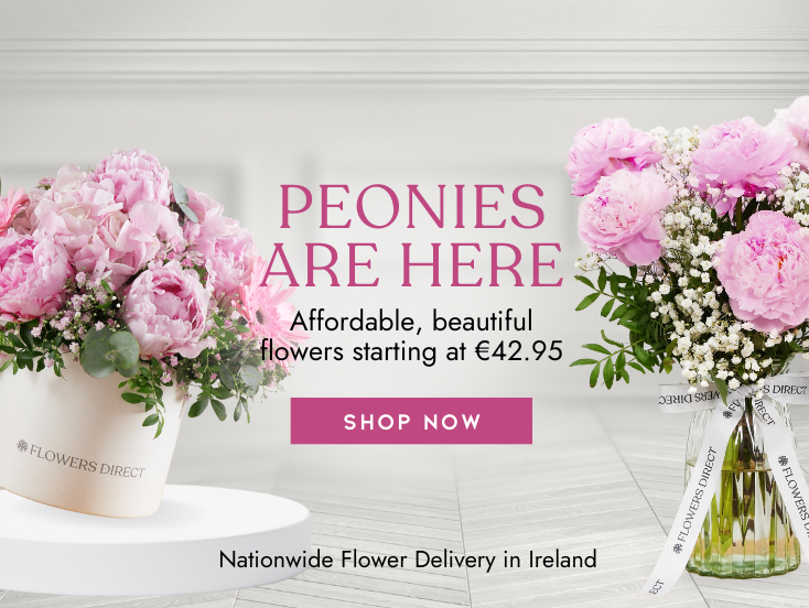 Flower Delivery Ireland - Flowers Direct Ireland